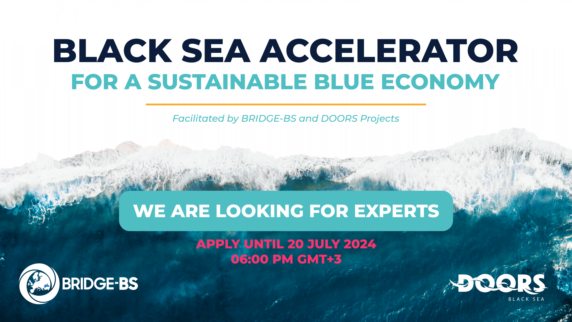 BRIDGE-BS is looking for experts for Black Sea Blue Economy Accelerator ...